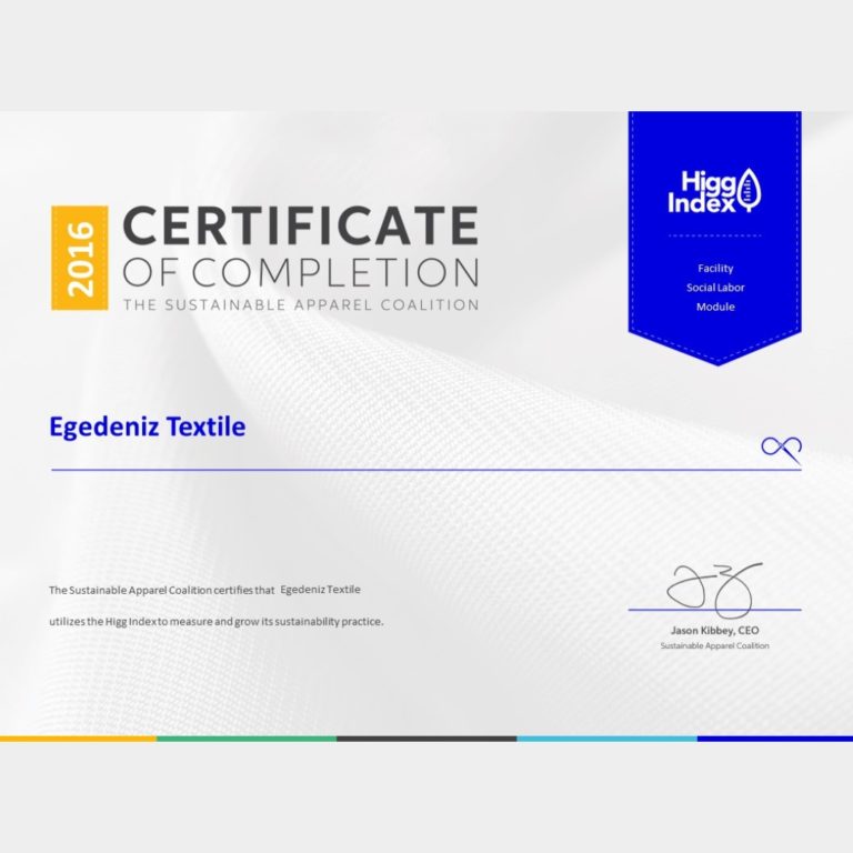 Completion of Higg Index Modules 2016 - Egedeniz Textile